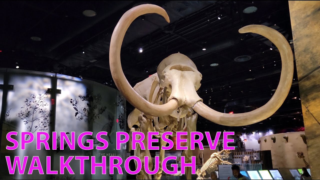 Springs Preserve Las Vegas Walkthrough - YouTube