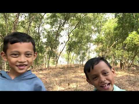 Main di hutan kota