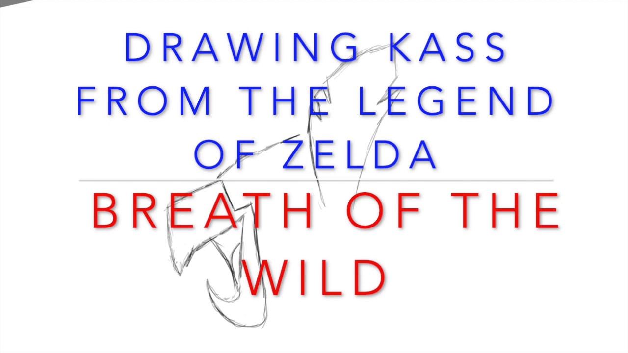 Drawing Kass from the Legend of Zelda Breath of the Wild - YouTube