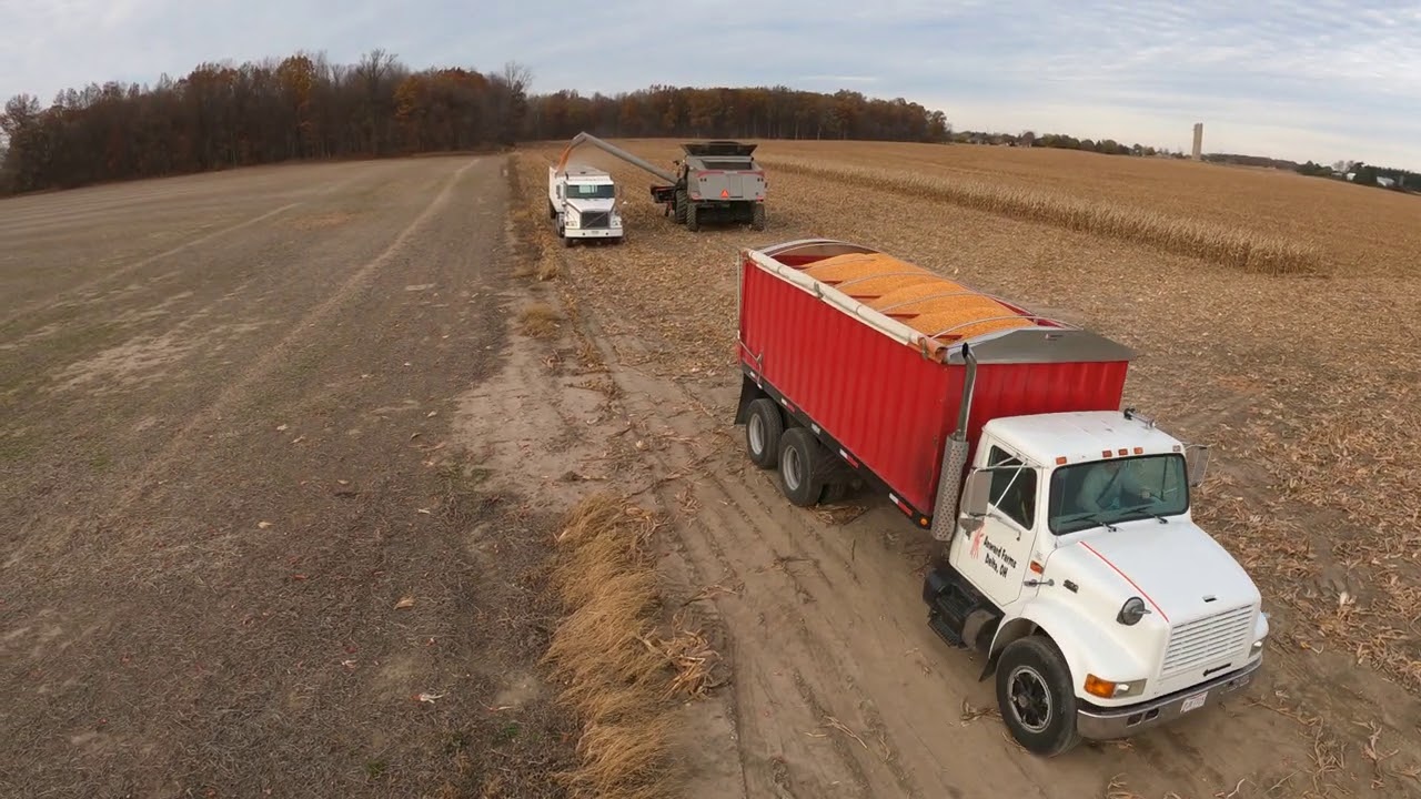 Finishing up a Corn Field - Harvest 2020 Chasing a Gleaner S77 - Fulton ...