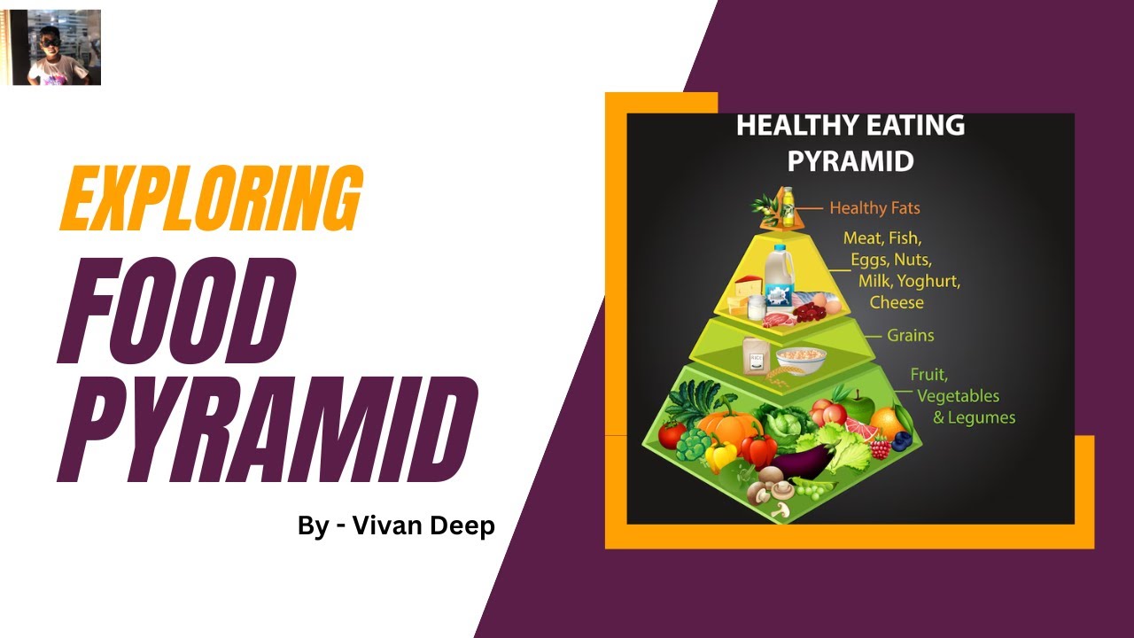 Exploring the 3D Food Pyramid Model with Vivan Deep | Balanced Diet ...