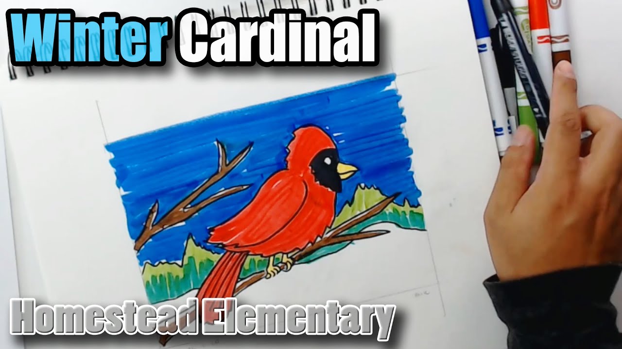 🎨 How to Draw a Winter Cardinal Bird - YouTube