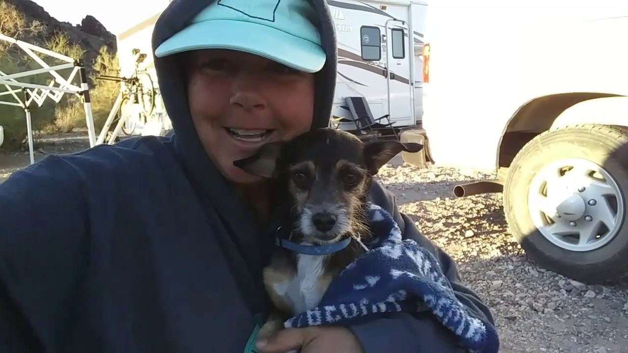 Leaving Caravan Carolyn and Parker Again! Full-time Vanlife - YouTube