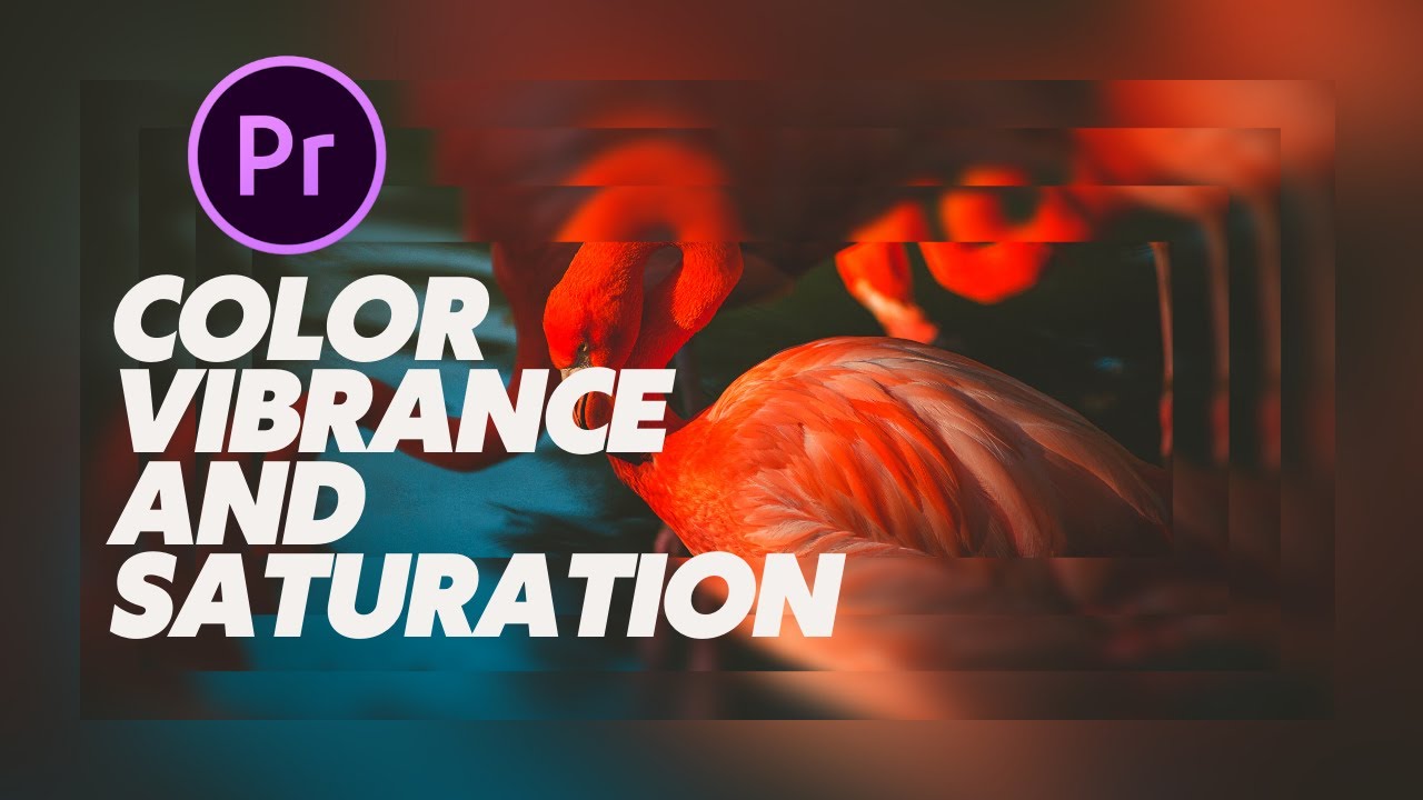 Color Vibrance and Saturation - YouTube