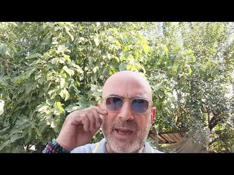 Uçak Bakım Teknisyenliği Bölümünde Okuyacak Öğrencilere Tavsiyeler
