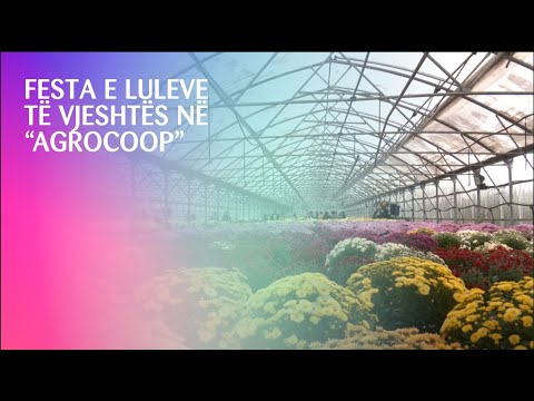 Festa e luleve të vjeshtës në “Agrocoop” - YouTube