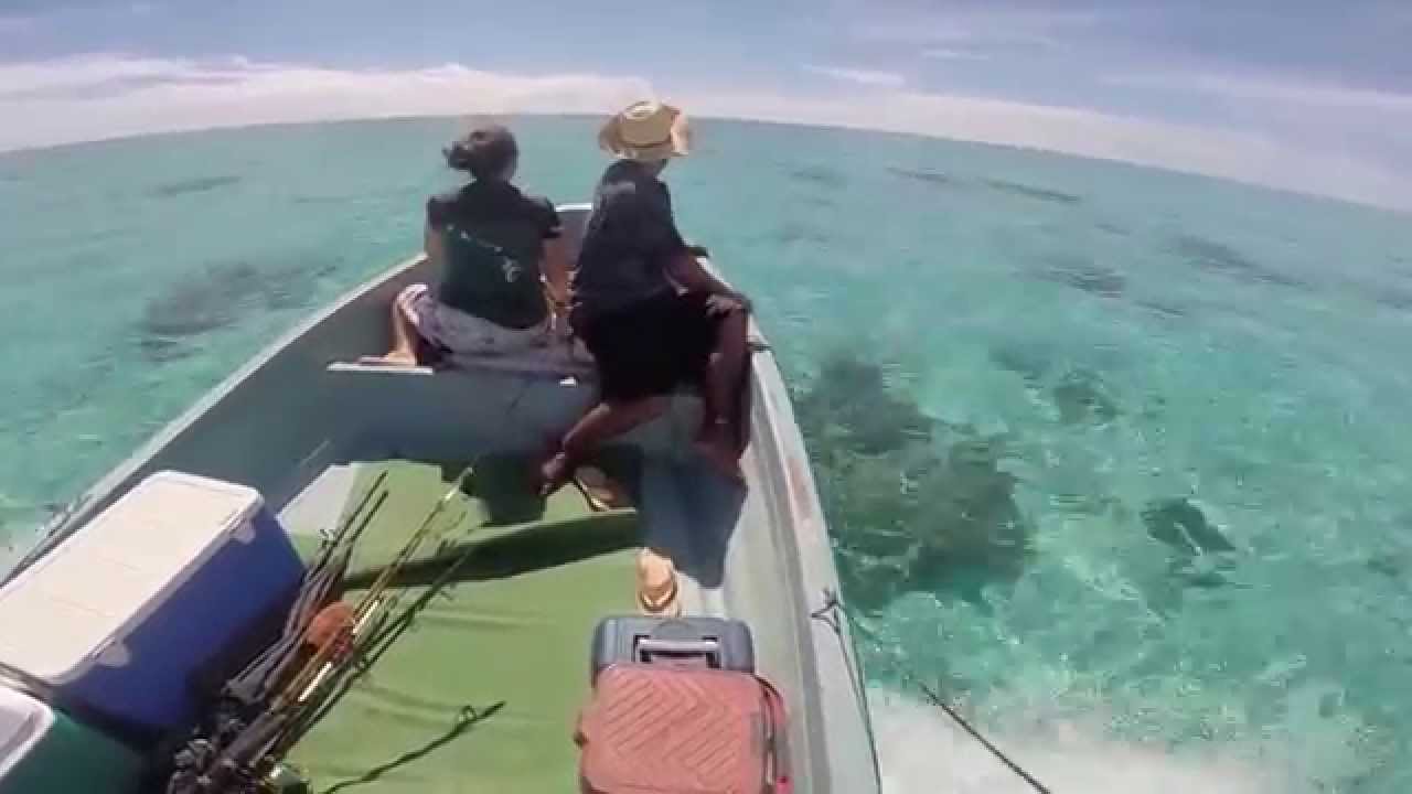 Palau Summer 2014 Fishing Trip GoPro3+ - YouTube