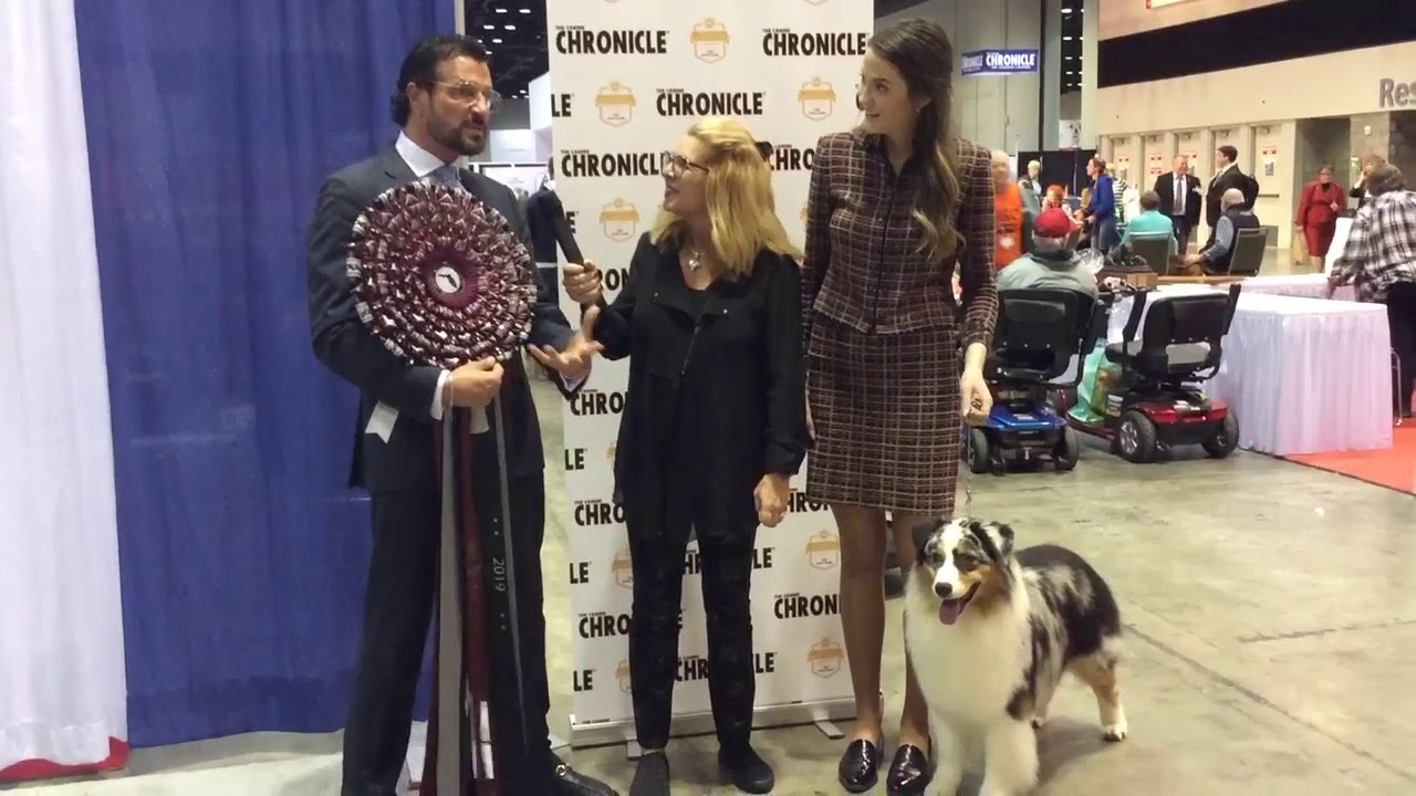 Best in Show Judge Mark Cocozza and BIS Winners Shelby and Spencer from ...