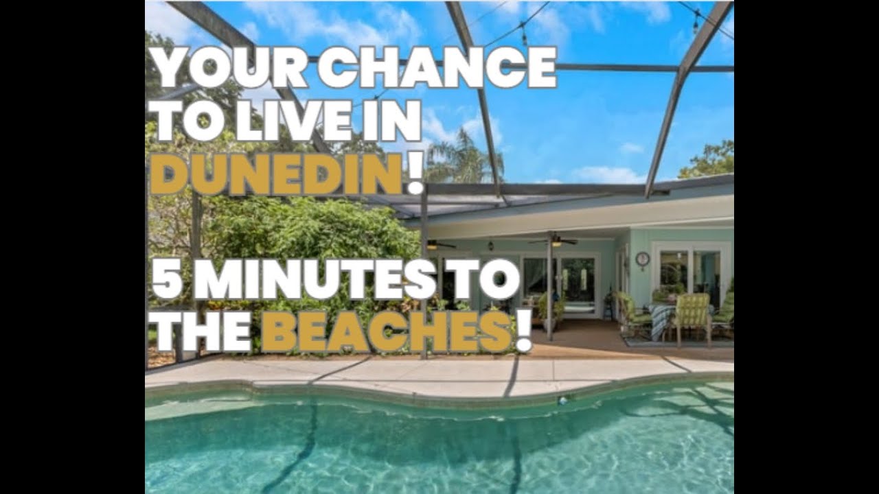 Saltwater Pool Home in Dunedin - YouTube