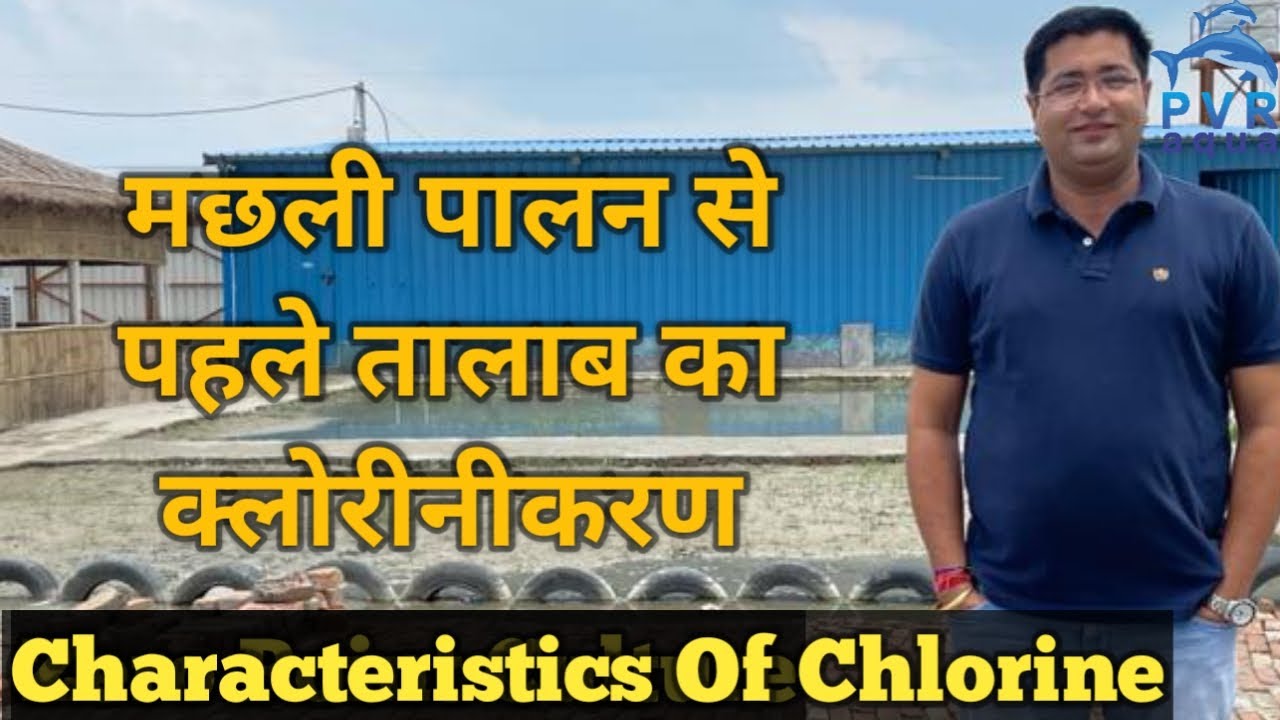 Chlorination Of Pond Before Fish Farming। Chlorine। PvrAqua - YouTube