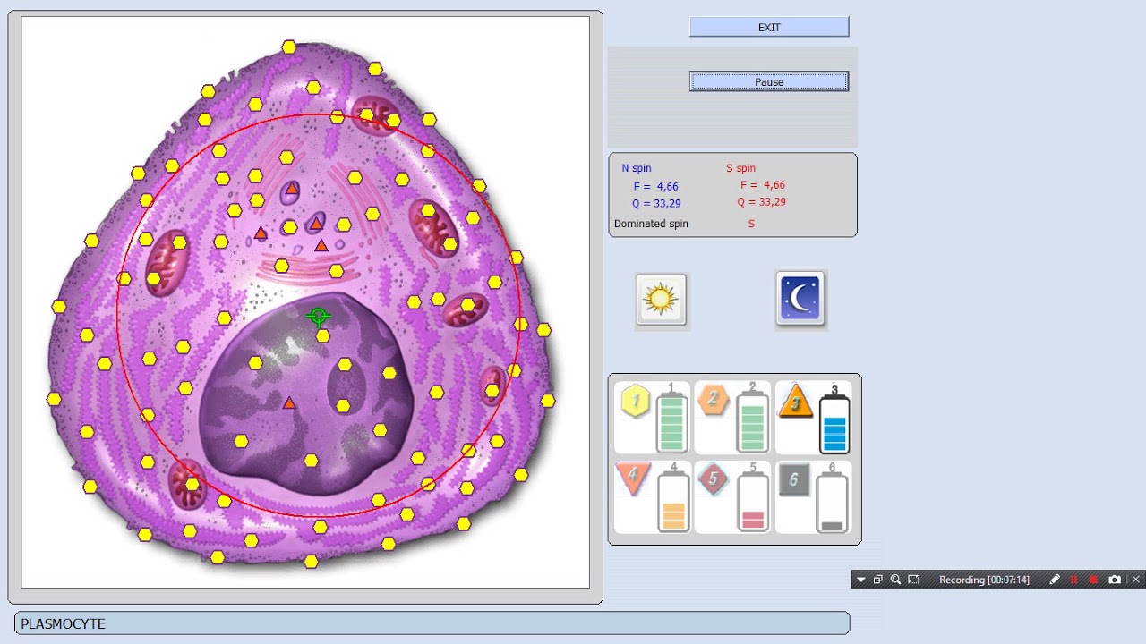 +++Biorezonanta (Bioresonance) - YouTube