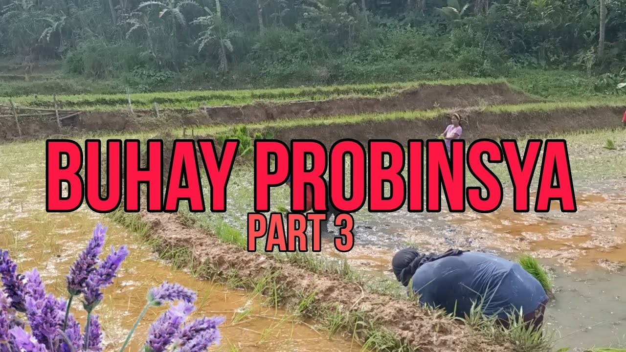 Buhay probinsya part3 - YouTube