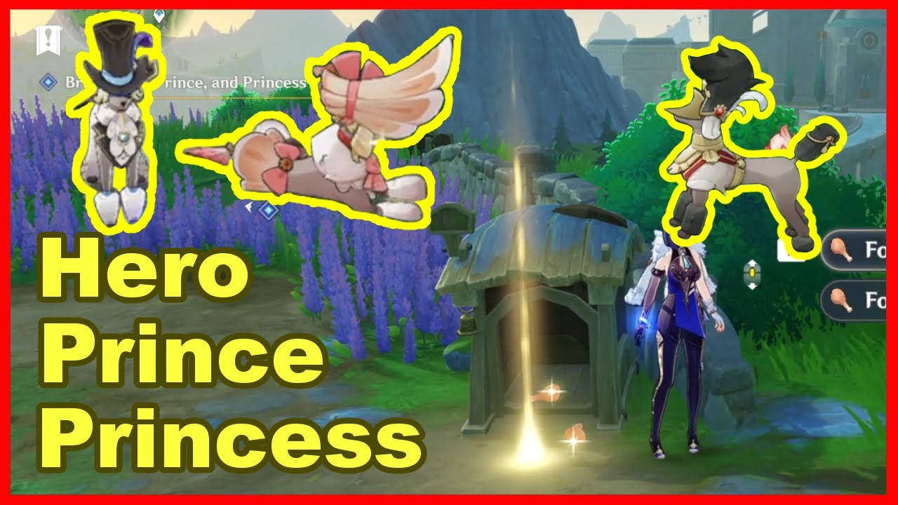 Easiest Way To Bring Hero Prince and Princess Home - YouTube