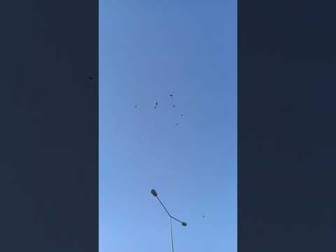 Posta güvercini salım