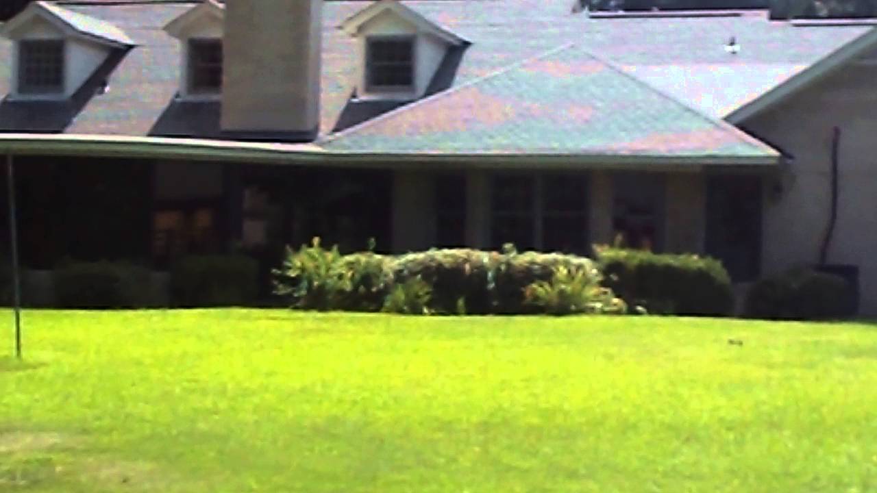 A beautiful Scenery - YouTube