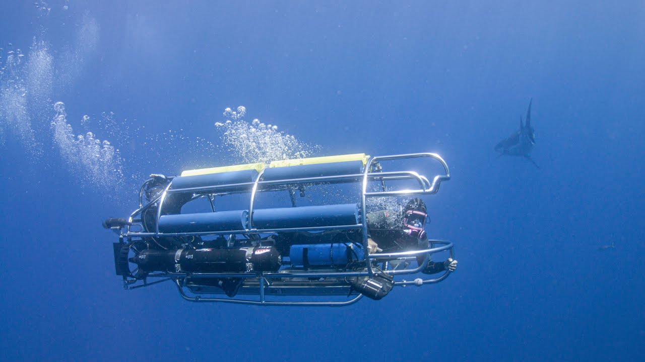 A Great White Shark tries to ride on us - YouTube