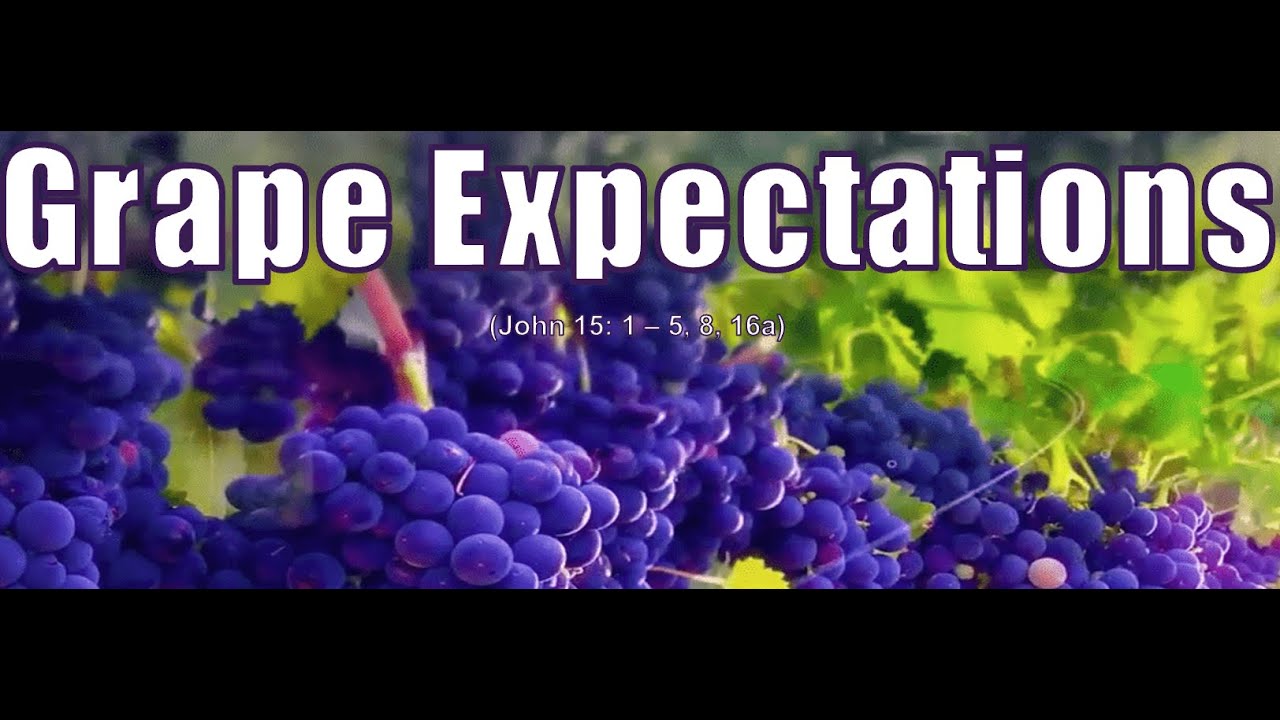 3-23-2025 "Grape Expectations" (John 15:1-5,8,16a) Friendship Baptist ...