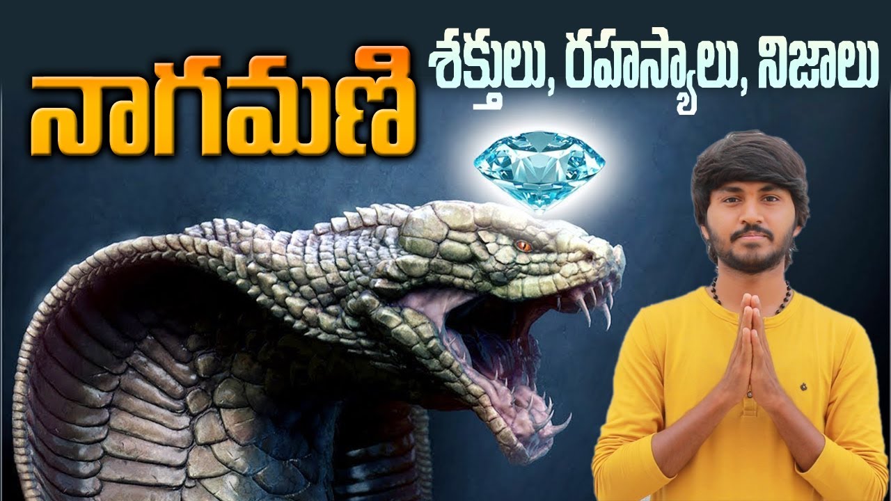 History and Mystery of Nagamani | నాగమణి రహస్యం | Today Tv - YouTube