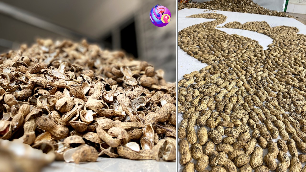 Turning peanut shells into stunning wall decor - YouTube