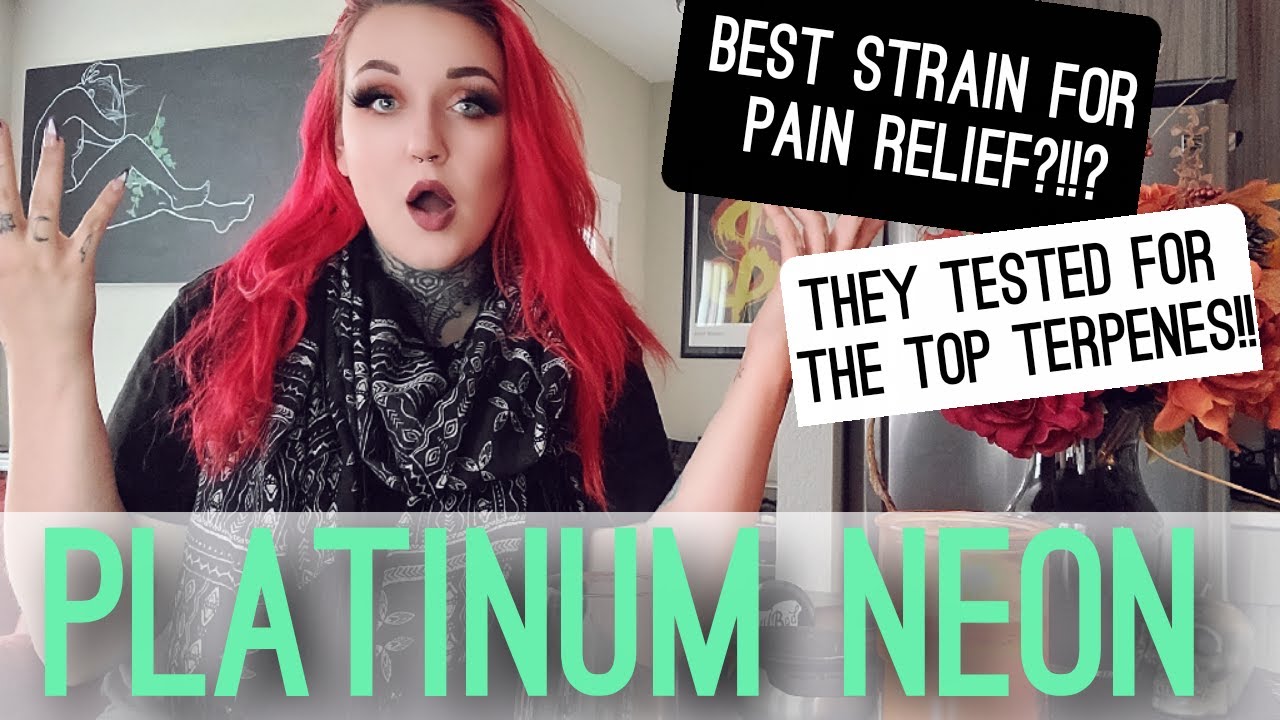 Best Strain For Pain Relief?!?!! PLATINUM NEON Strain Review - YouTube