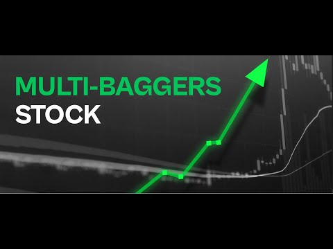 The Top Multibagger Stocks Set to Skyrocket in 2024!" Top Stock Growth ...