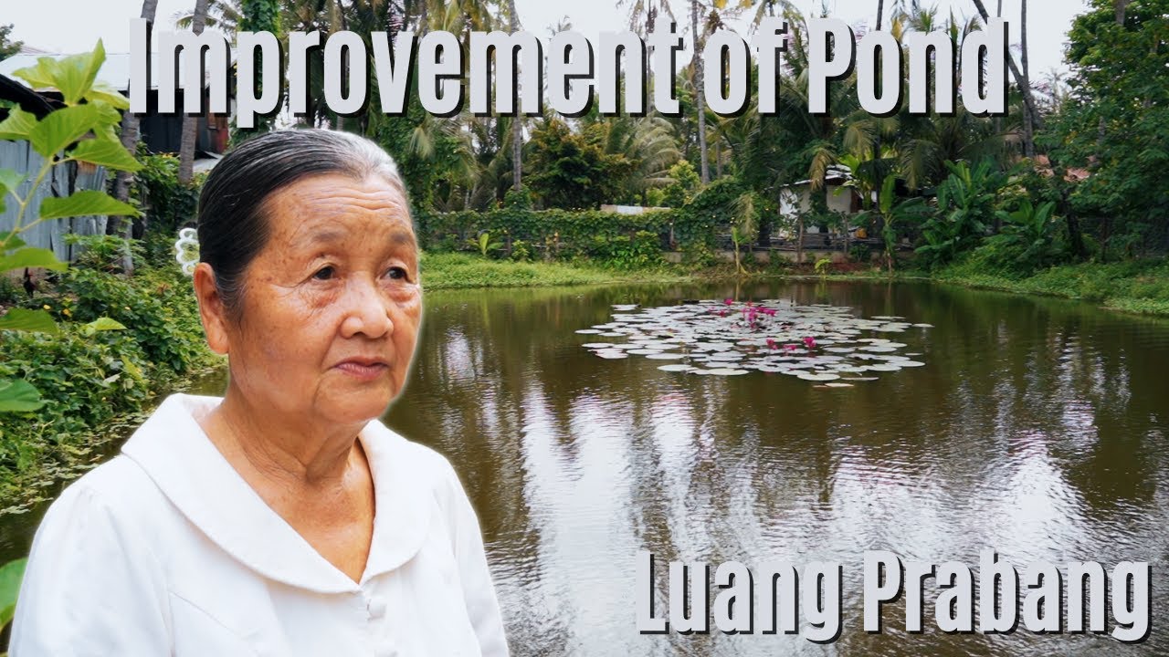 Improvement of Pond in Luang Prabang , Laos - YouTube