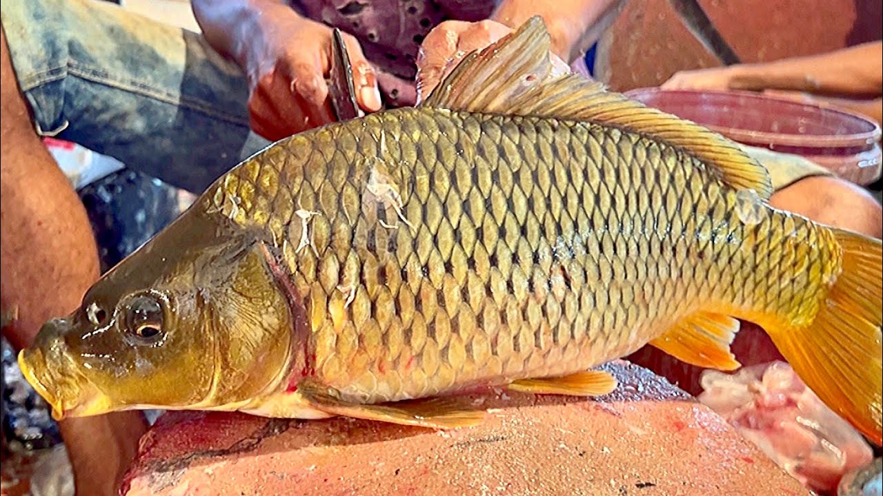 Big Golden Carp Fish Cutting In Bangladesh | Amazing Cutting Skills ...