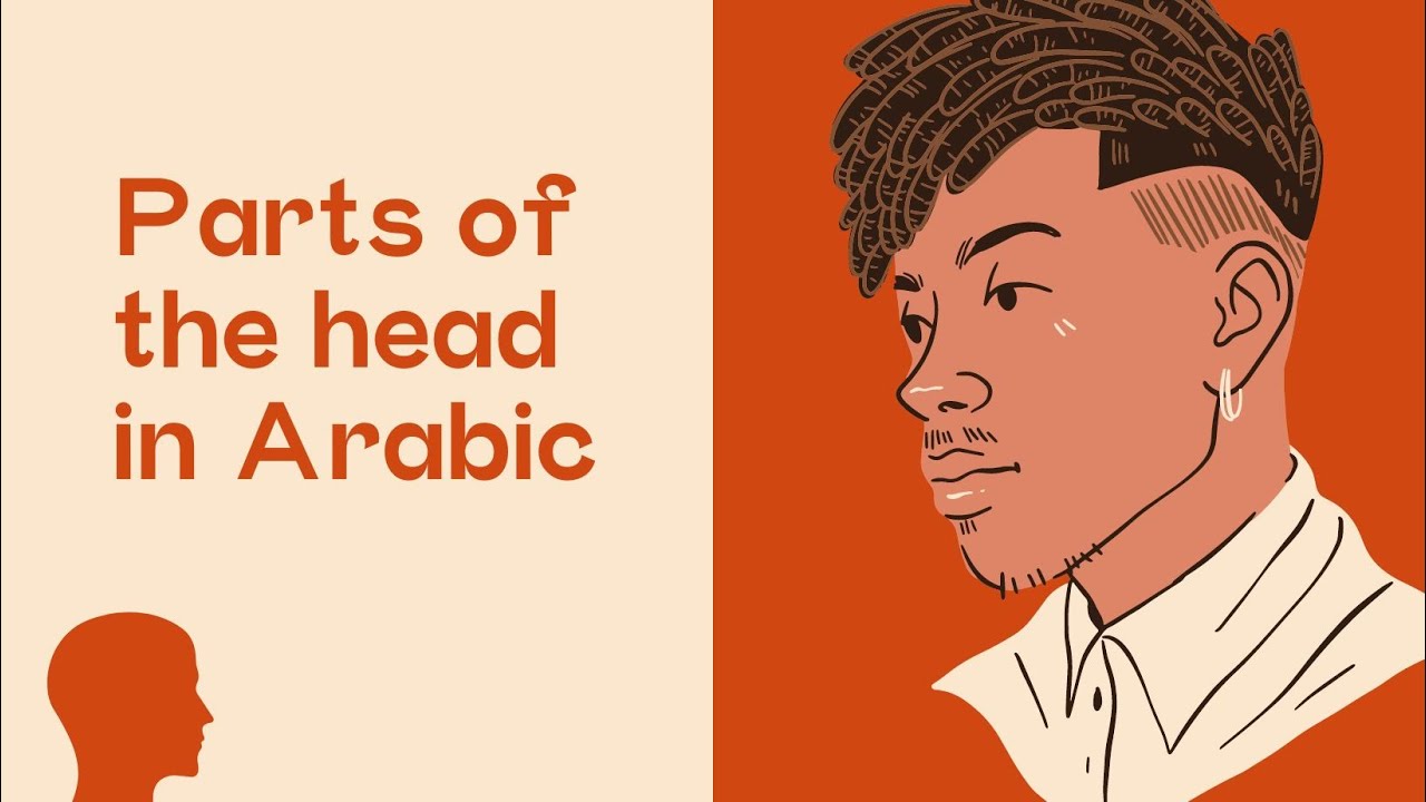 Learn Arabic pronunciation for beginners | Parts of the head in Arabic ...