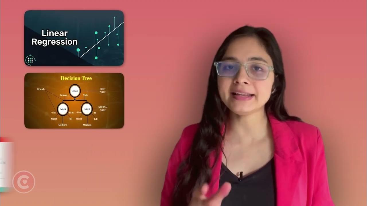 6 Months Data Science Bootcamp + Internship 🚀 #codingmerijan #datascience #internship #bootcamp ...