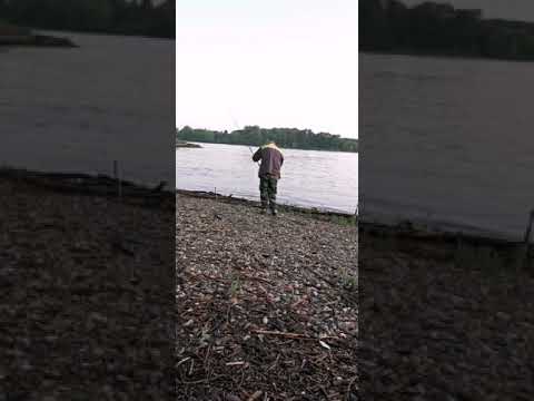 Balık avı Rhein nehri Almanya