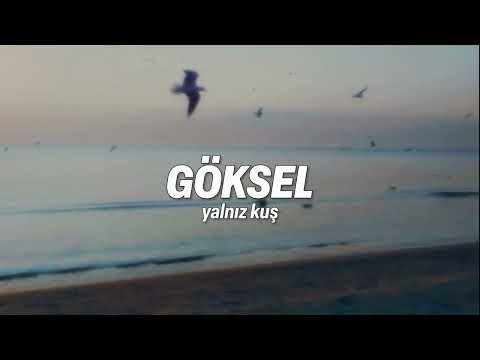 göksel - yalnız kuş enstrümantal kısım (uzun versiyon)