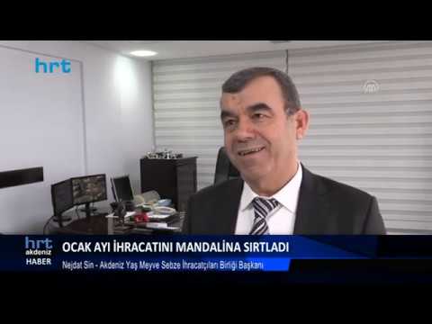 Akdenizli ihracatçılar, yaş meyve sebze ihracatına \