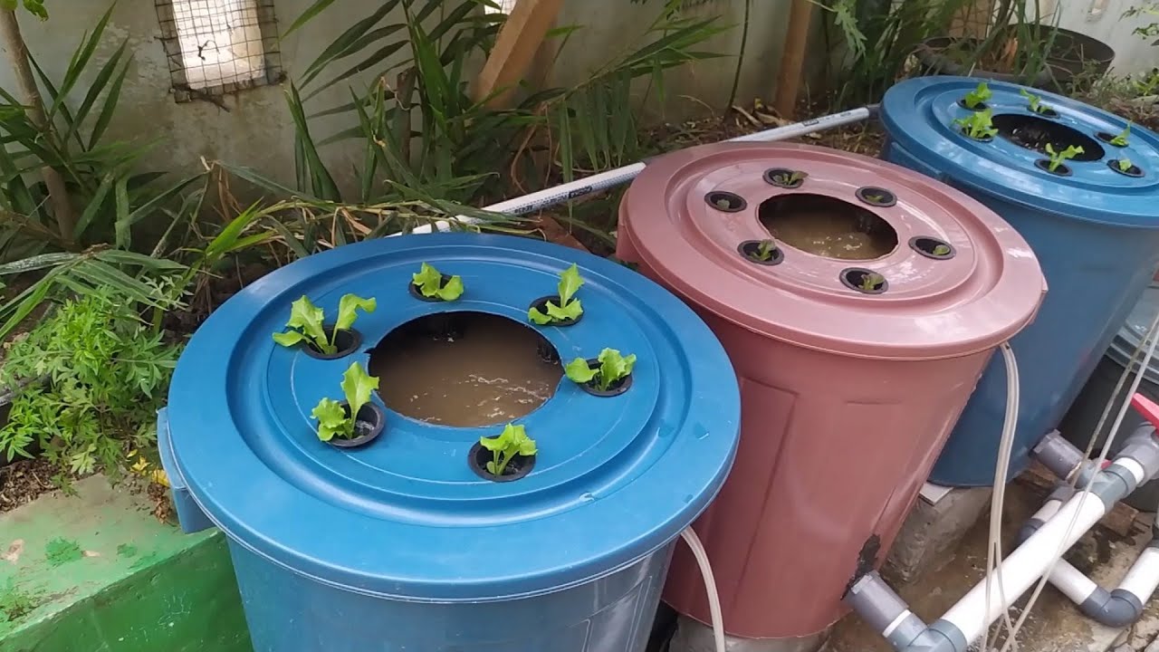 DIY : How to build simple RAS system for catfish ponds using bucket ...
