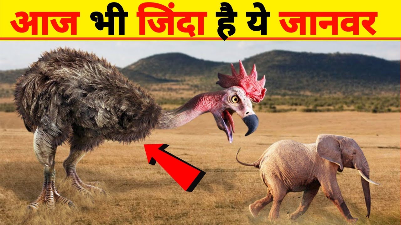 🔴आज भी जिंदा है ये करोड़ों साल पुराने जानवर 😱 || most amazing animals ...