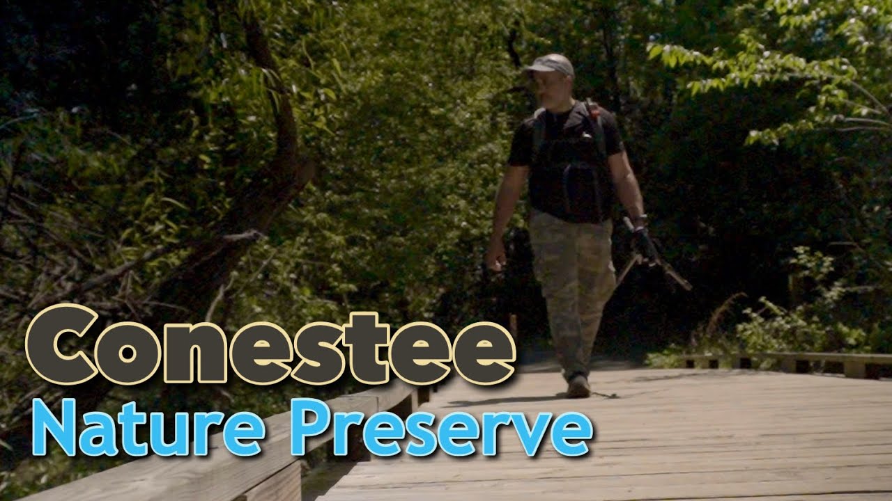 Hiking and running at Conestee Nature Preserve, Greenville South ...