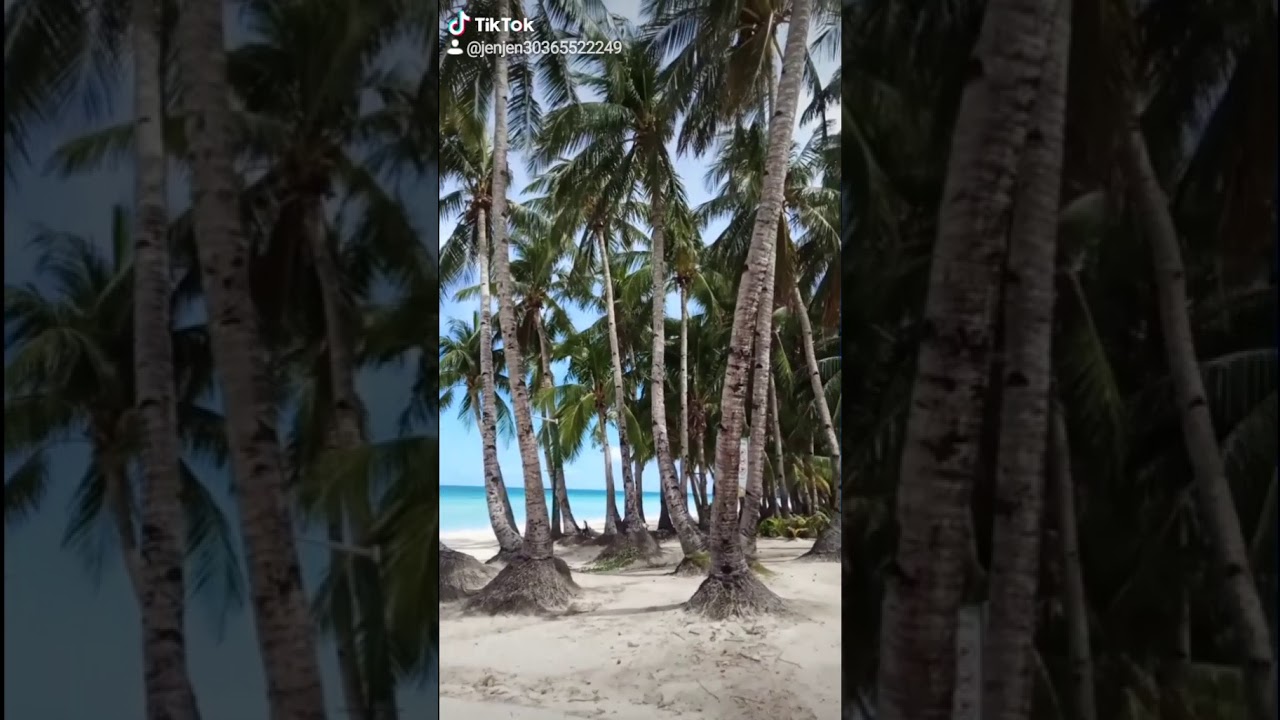 Memories/ Ajay Stephens // Tiktok (Boracay Island) - YouTube