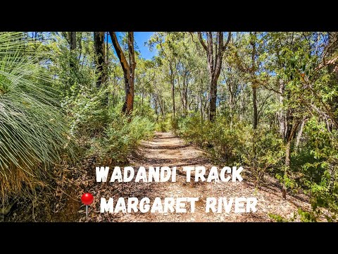 Wadandi track and the MTB trails in Margaret River - YouTube