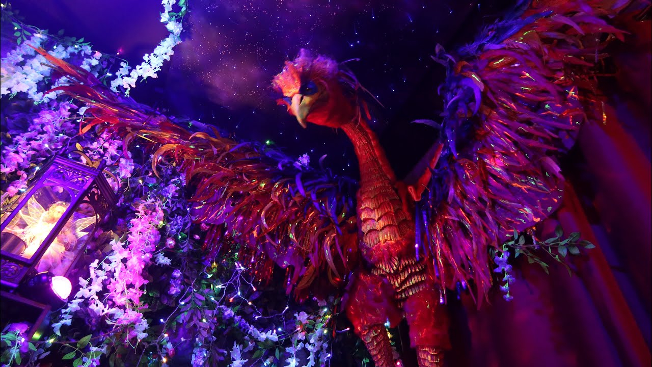 DRINK BOBA, EAT ICE CREAM AND BECOME A WIZARD at Elixir Tea Bar and ...