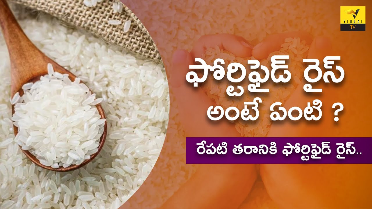 What is Fortified Rice and How Can it Improve Your Health : Apurva ...