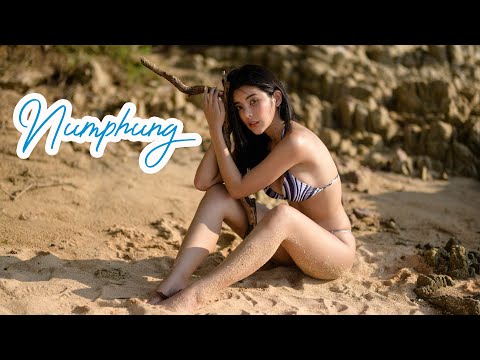 Portrait Video with Numphung