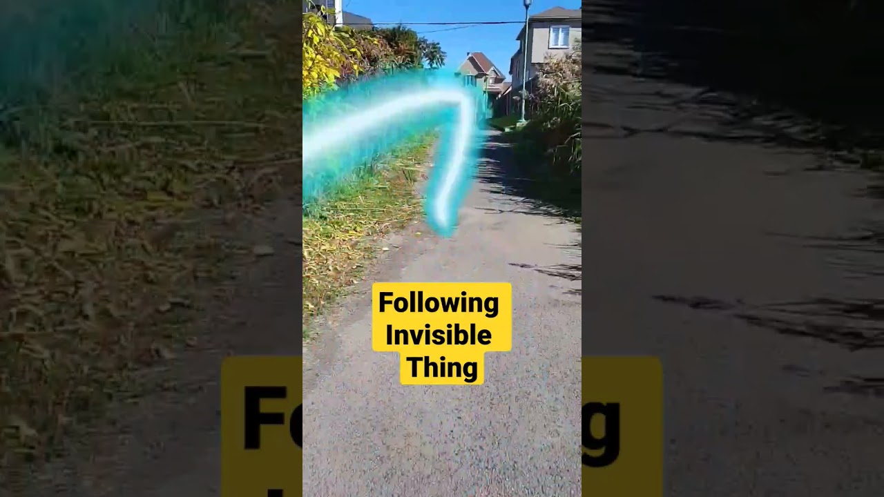 Following invisible thing #shorts #invincible #fun #kidsplaying # ...