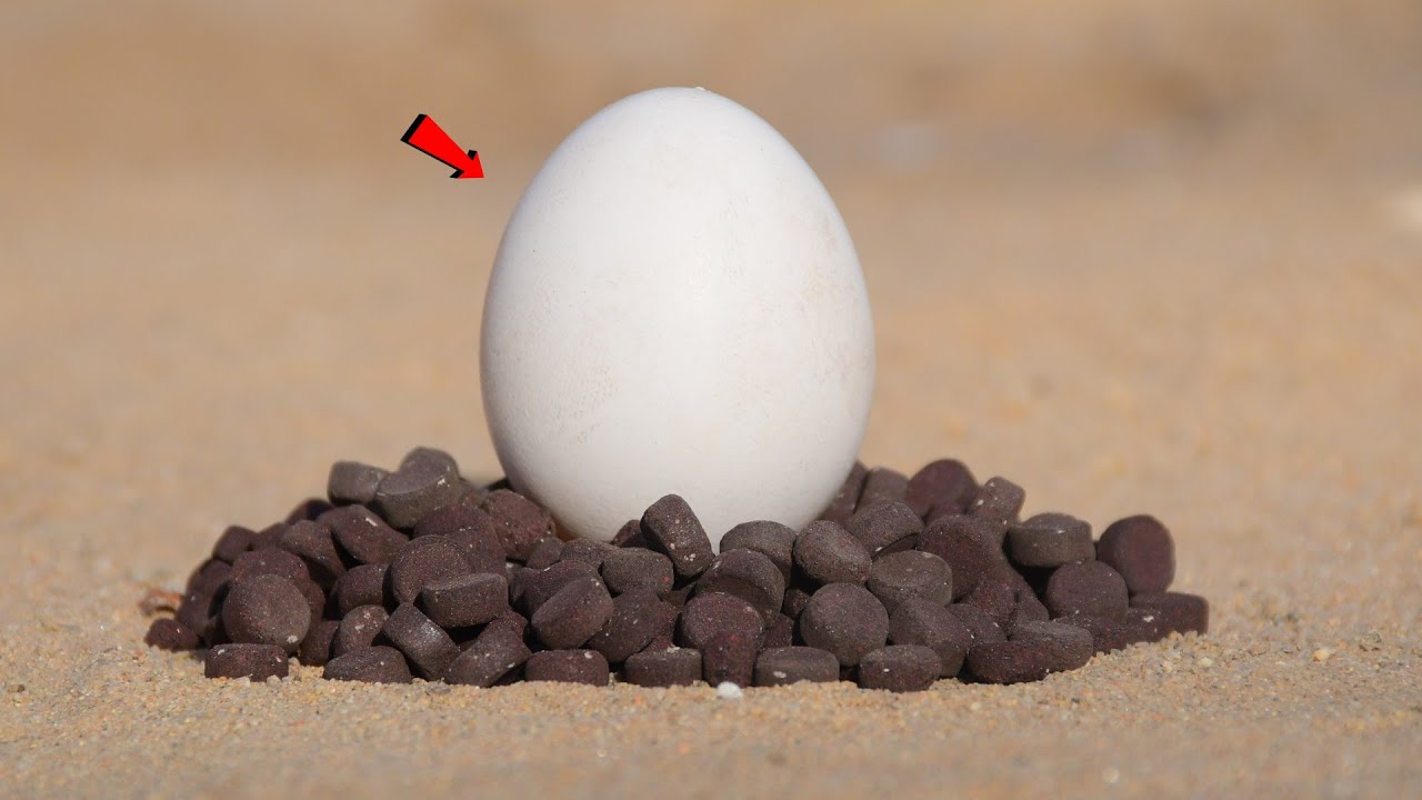 SNAKE BOMBS Vs Egg Boiling Experiment - YouTube