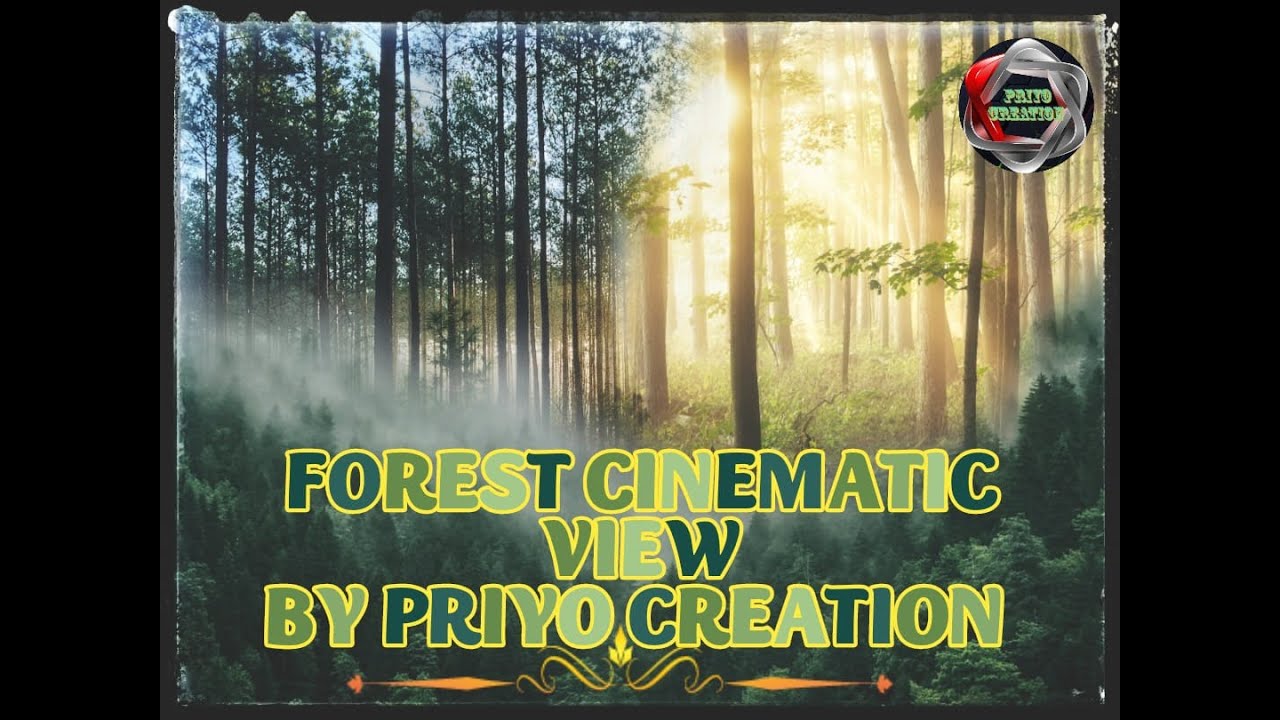 Cinematic Forest Video By Priyo Creation - YouTube