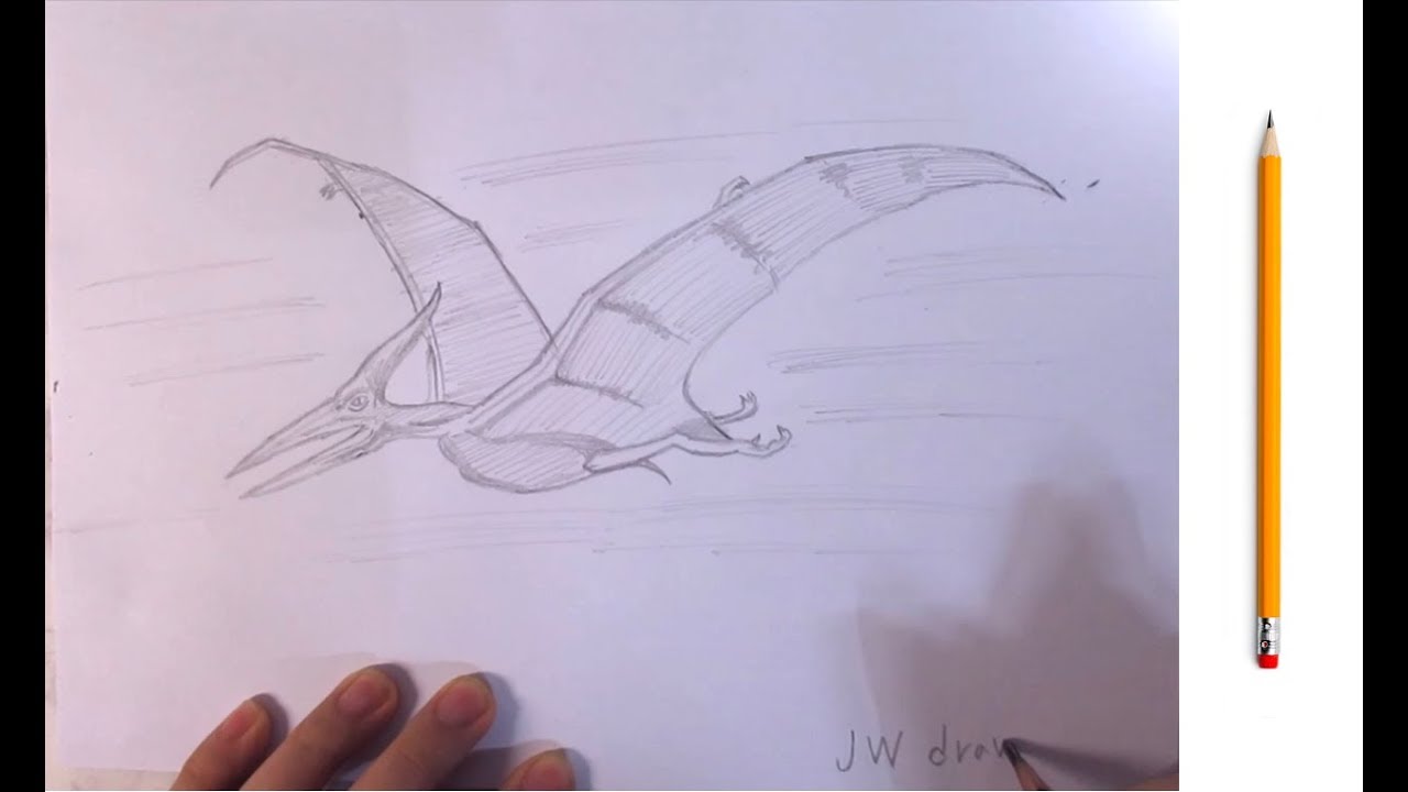 How to Draw Pteranodon | Drawing a dinosaur | For Kids - YouTube