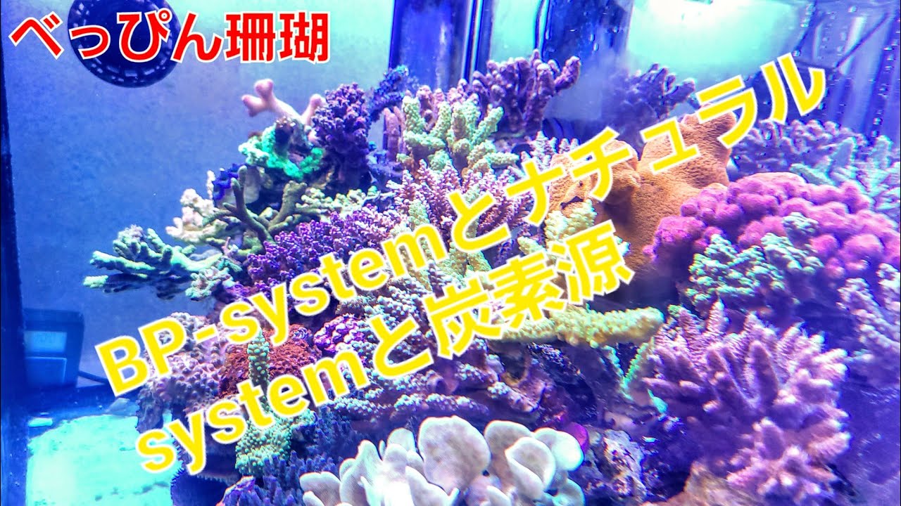 BP-systemとナチュラルsystemと炭素源とは。 - YouTube