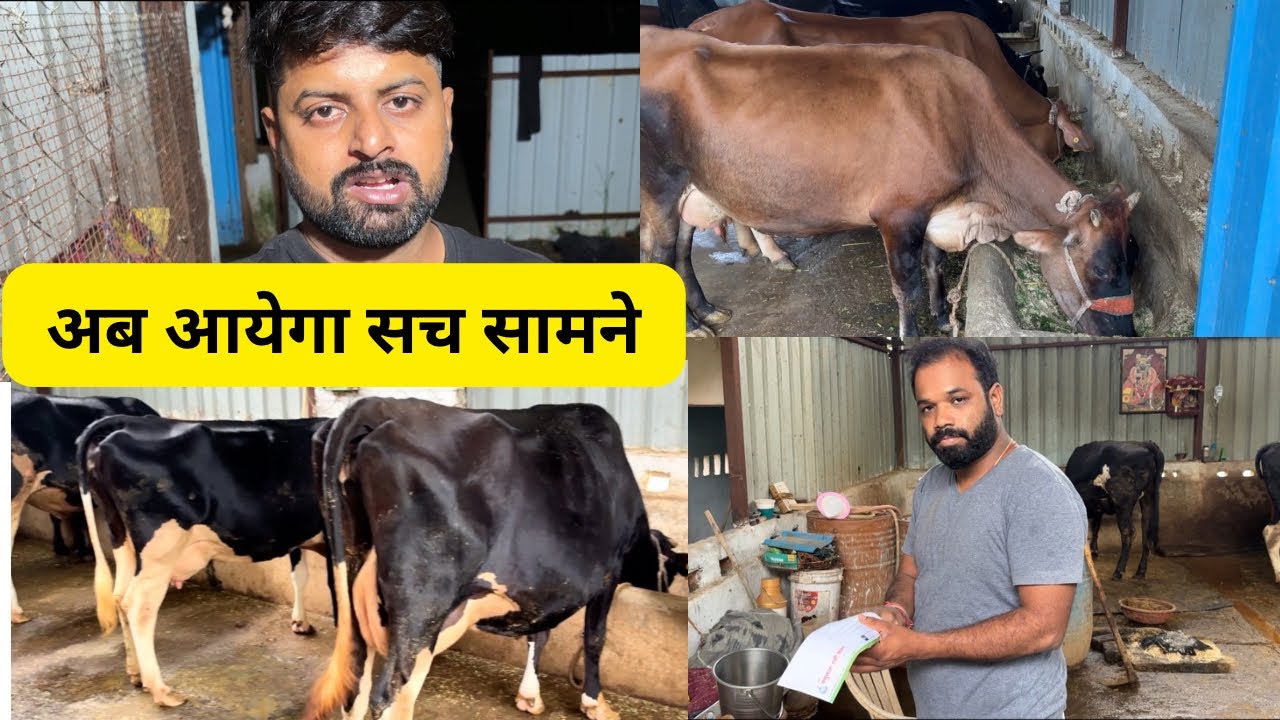 अब आयेगा सच सामने || now the truth will come out - YouTube