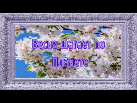Весна шагает по Планете