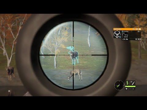 theHunter: COTW Diamonds💎 and rares compilation #1 # ...