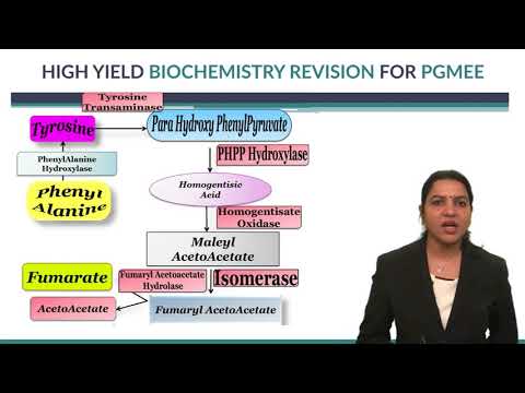 Amino Acids AIIMS/PGI 2016-17 Biochemistry Qs Discussion - Dr Rebecca ...