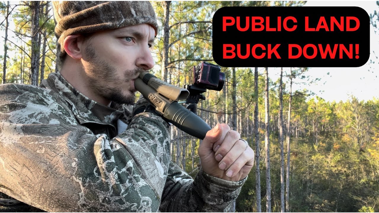 PUBLIC LAND DEER HUNTING BUCK DOWN ! Cow horn spike. - YouTube